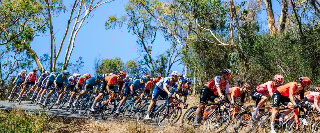 Race | Santos Tour Down Under