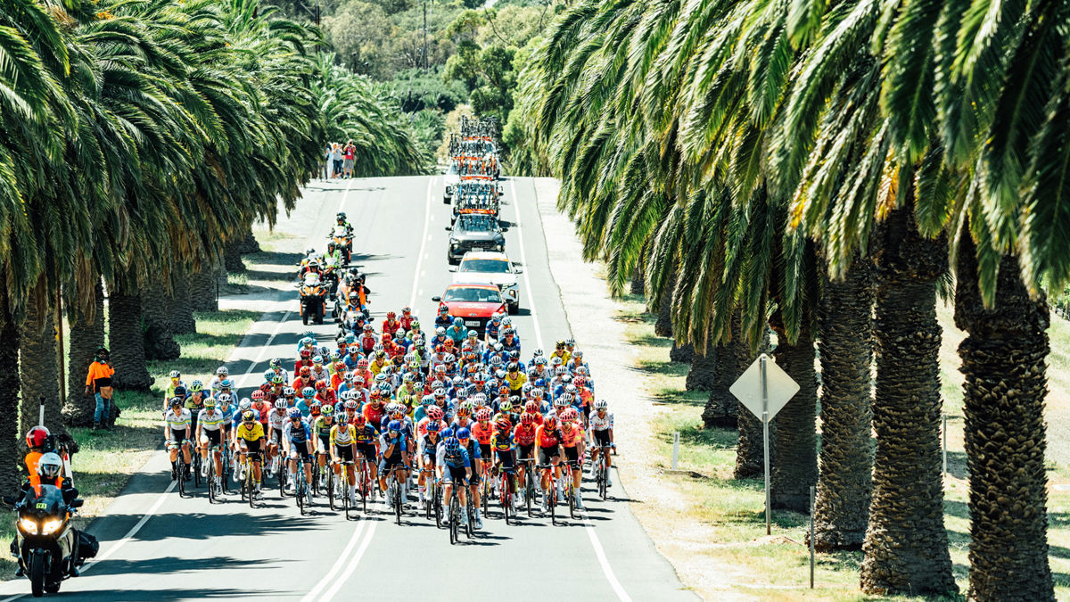 Race | Santos Tour Down Under