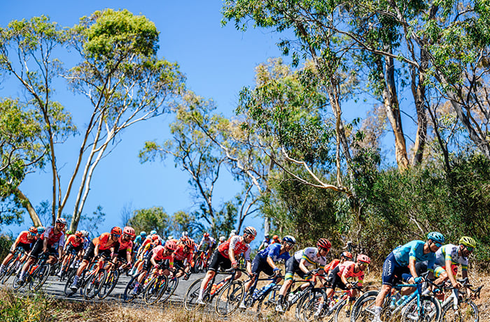Spectator Travel Guides | Santos Tour Down Under