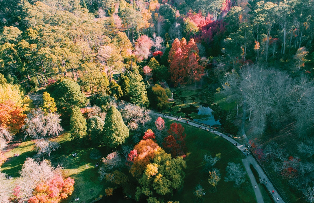 Spectator Travel Guide: Hyundai Women's Stage 3 | Santos Tour Dow...