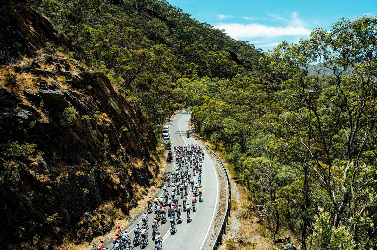 Race | Santos Tour Down Under
