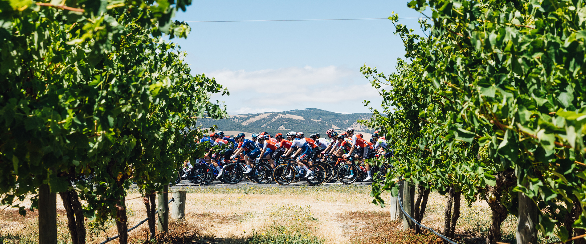 Spectator Travel Guides | Santos Tour Down Under